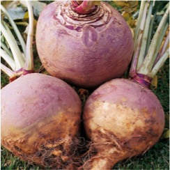 Powerhouse Fruits And Vegetables List - 41 Items You Should Eat