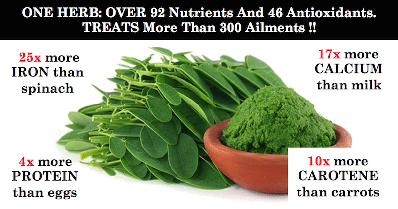 Moringa Oleifera Kills Cancer Cells - These 5 Types of Cancer
