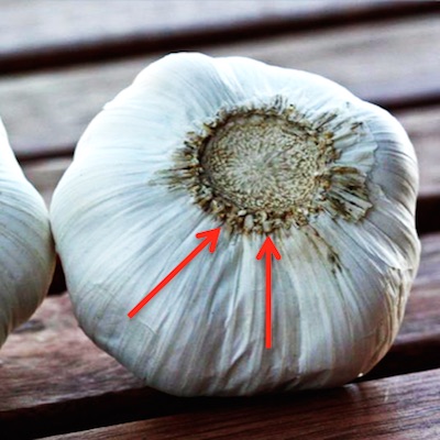 China Garlic - How To Spot These Bleached And Chemical-Laden Garlic